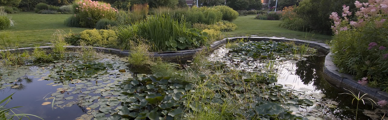 MSU RO: Office of the Registrar - Michigan State University